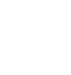 Five V Capital About